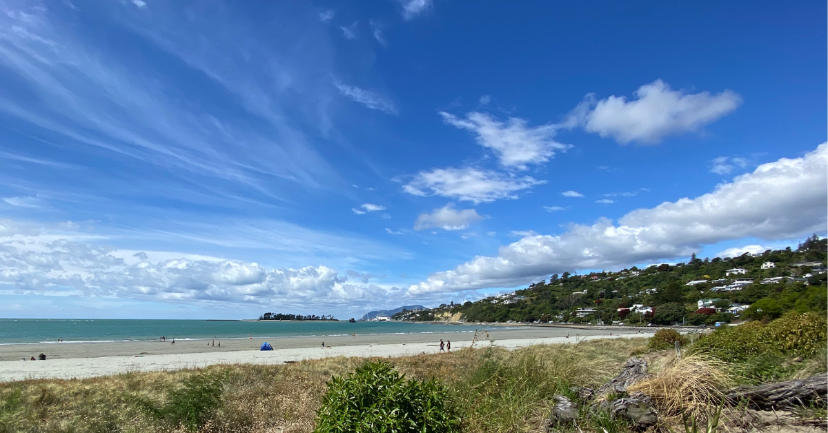 Shelley King - WK Strawbridge